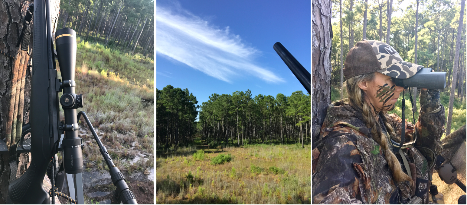 Down to the wire > 49 hours – The Bright Side of The Road